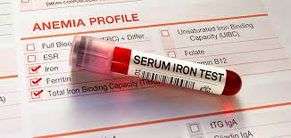 Advanced Iron Profile Test | Breathe360 – Heal Wellbeing