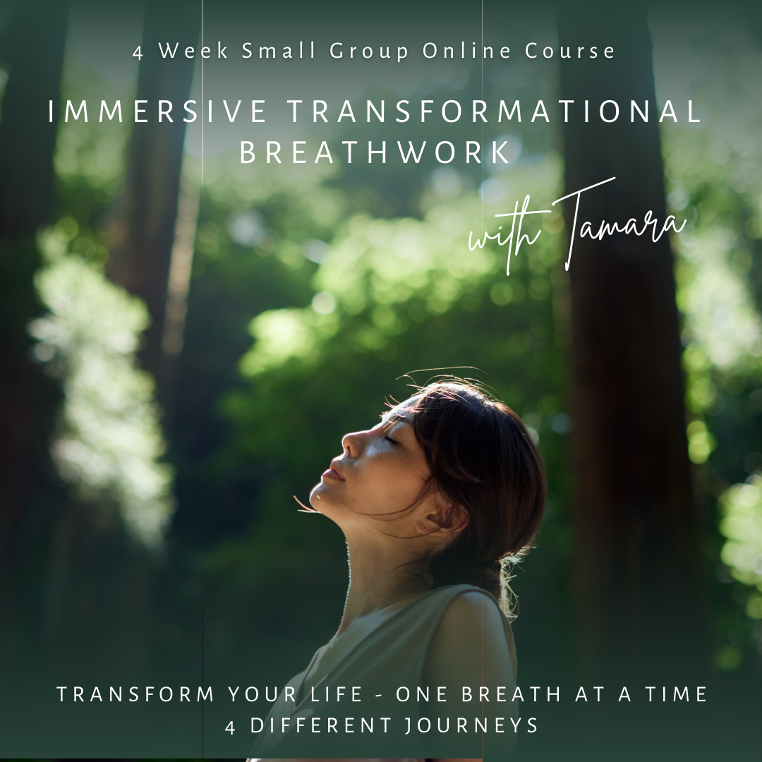 4 Week Online 1:1 Course - Transformational Breathwork | Breathe360 ...